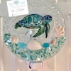 Hatching Sea Turtle Displays - Etsy