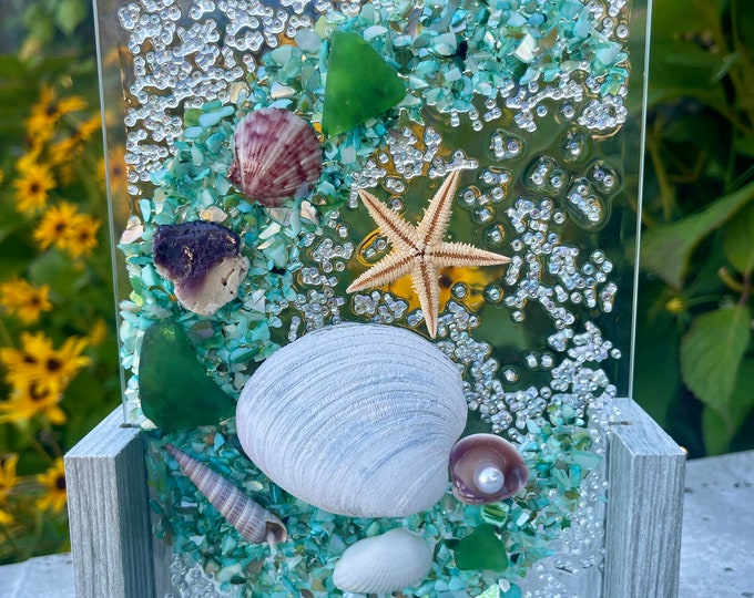 Sea Shell Stand - Etsy