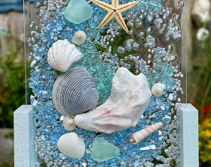 Sea Shell Stand - Etsy
