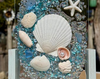 Sea Shell Stand - Etsy