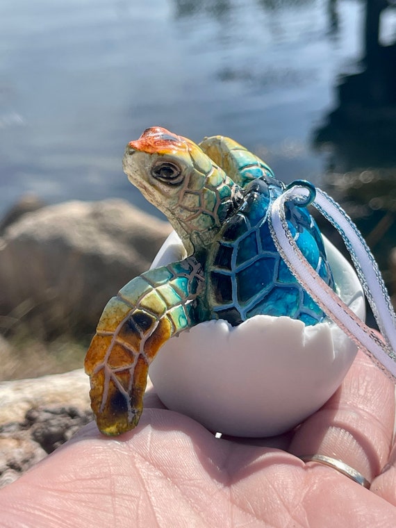 Cute Baby Sea Turtles Hatching