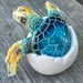 Hatching Sea Turtle Displays - Etsy