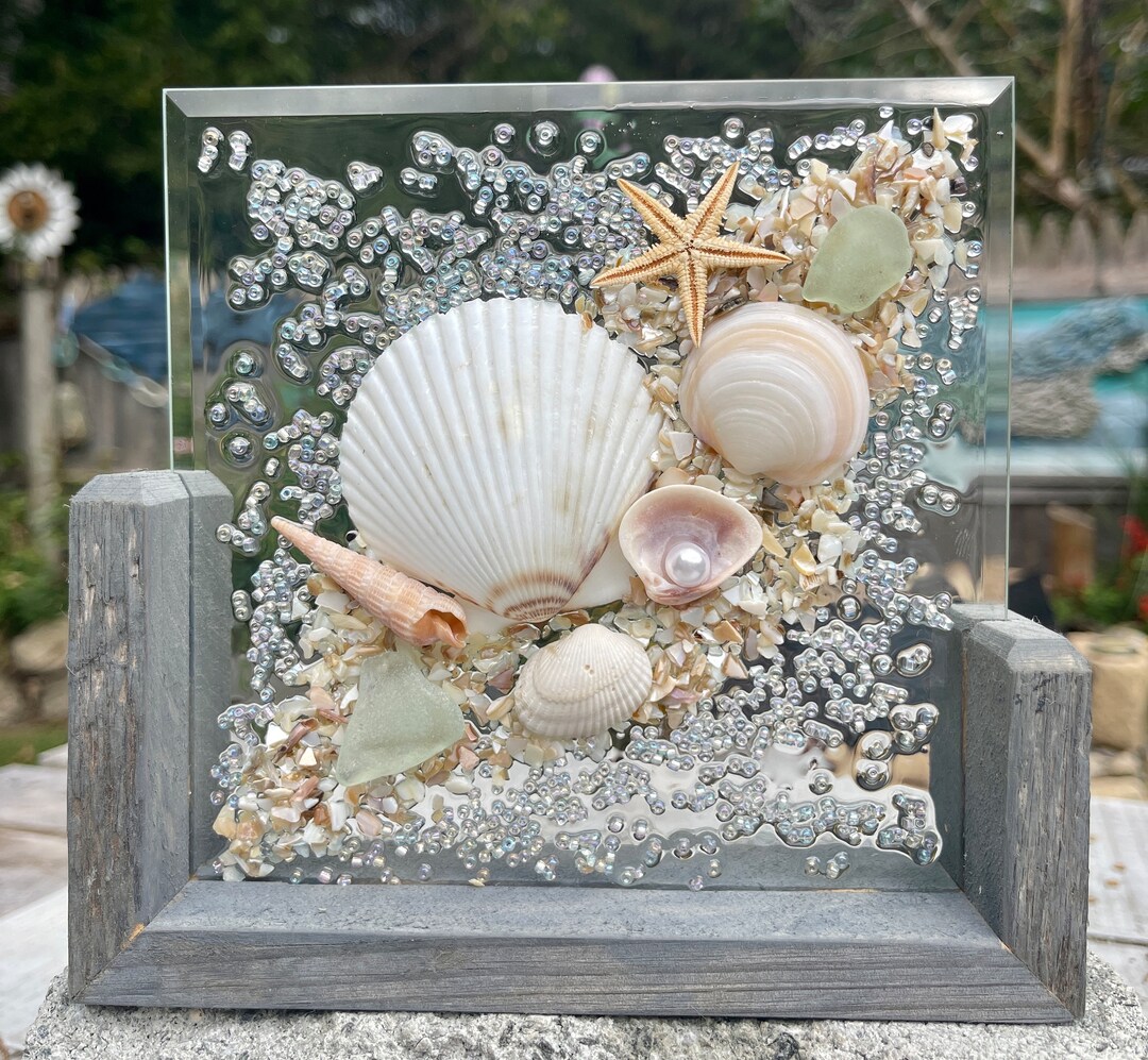 Sea Shell Stand - Etsy