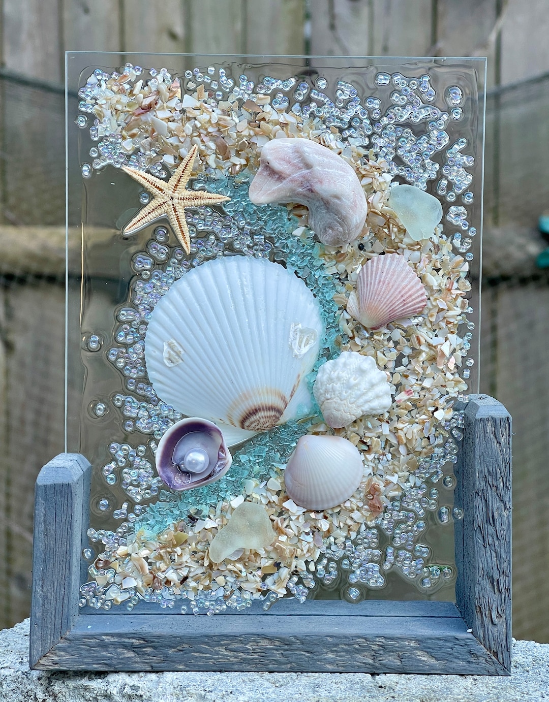 Sea Shell Stand - Etsy Canada