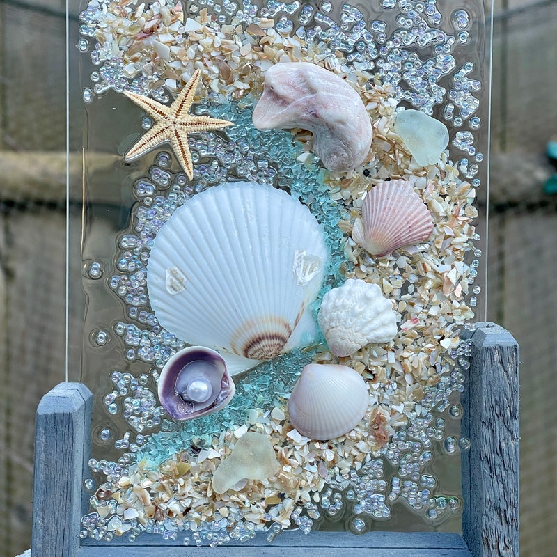 Sea Shell Display - Etsy