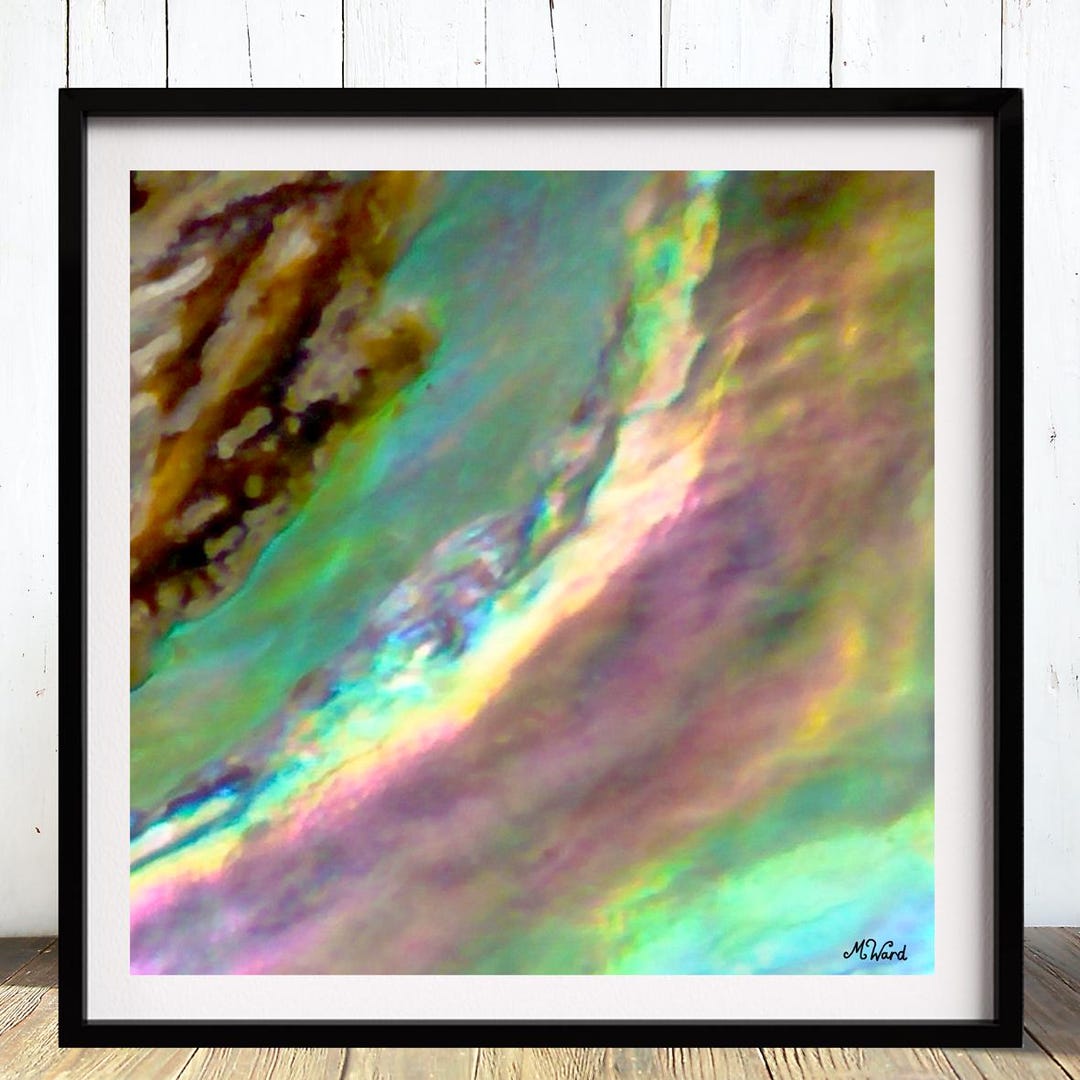 Vitality in Light Giclee Print Close-up Photograph of a Stunning Paua ...