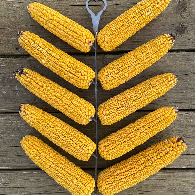 Antique Drying Rack - Etsy