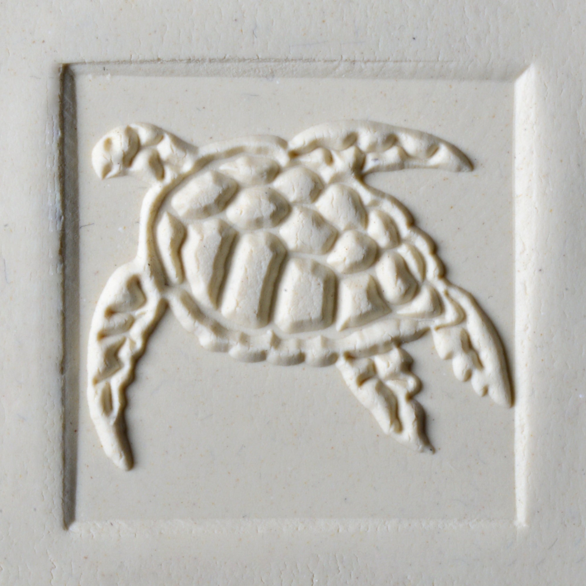 Ssl-099 Large Square Stamp Sea Turtle 2 | Etsy