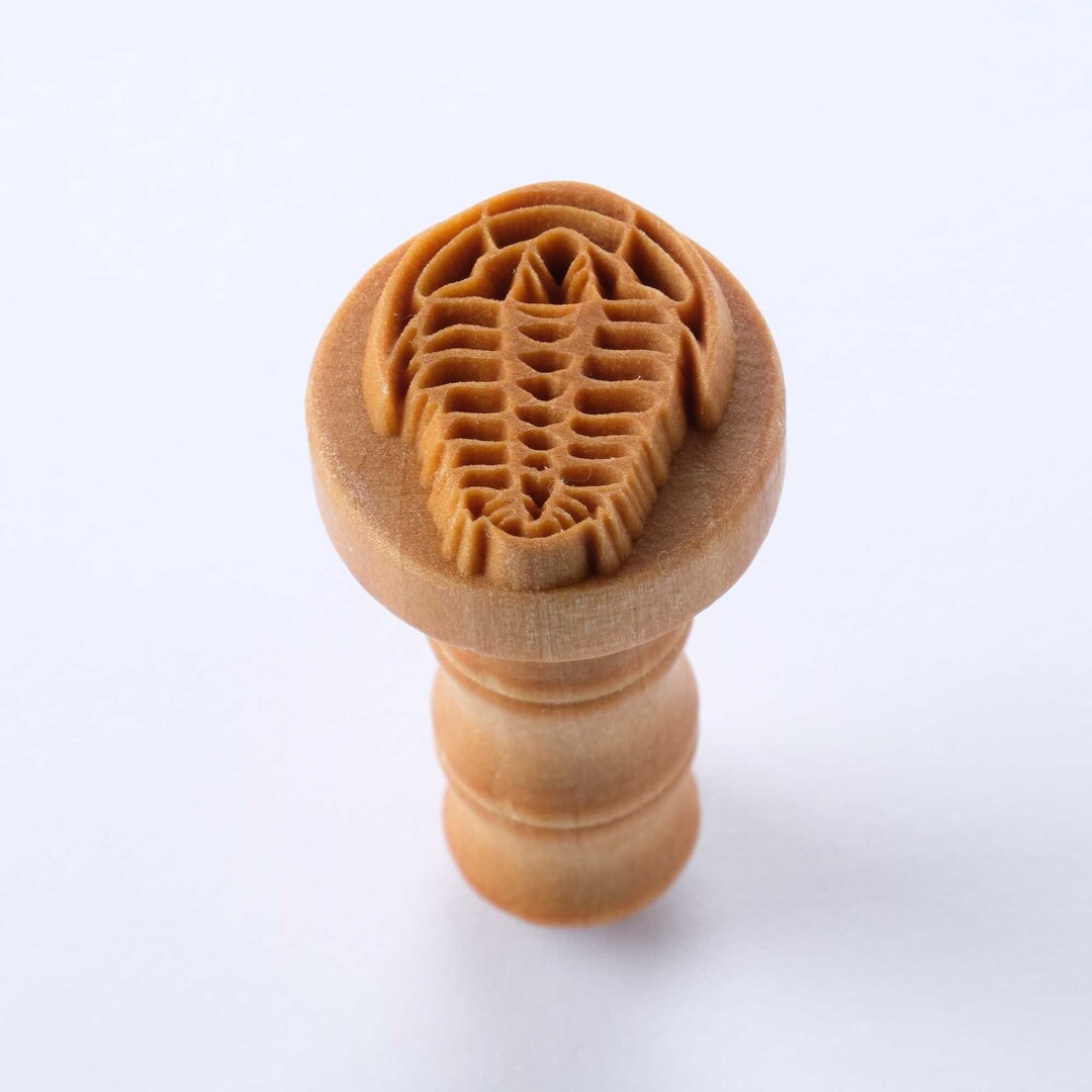 Scm-261 Medium Round Wood Pottery Stamp - Trilobite Fossil - Etsy