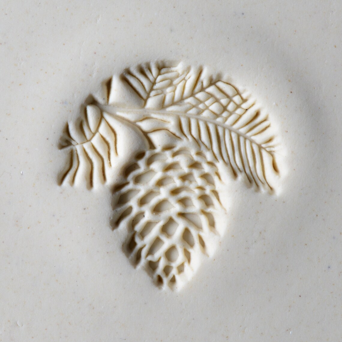 Scl-017 Large Round Stamp Pine Cone - Etsy