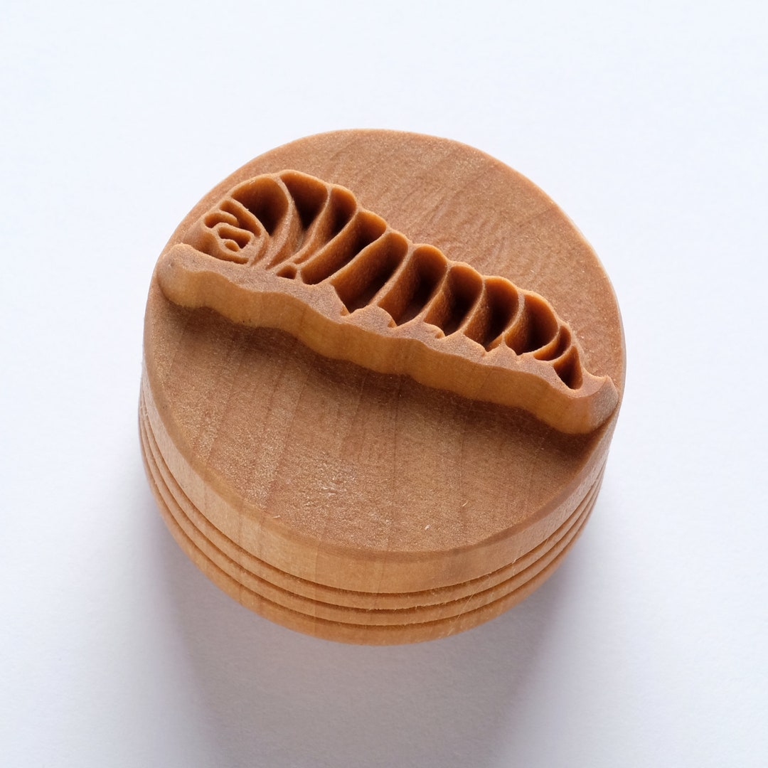 Scl-140 Large Round Stamp - Caterpillar - Etsy