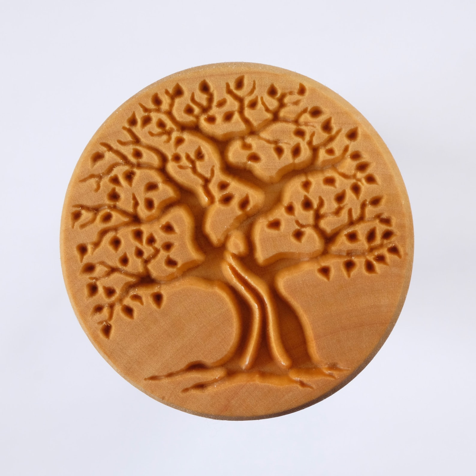 Scxl-007 Extra Large Round Stamp Old Tree - Etsy