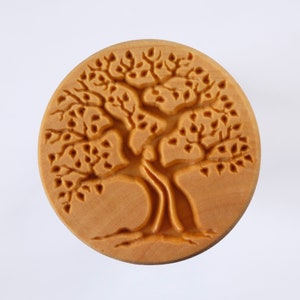 Scxl-007 Extra Large Round Stamp - Old Tree - Etsy