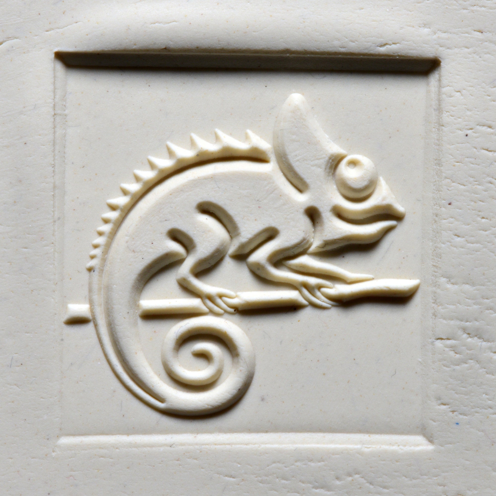 Ssl-096 Large Square Stamp Chameleon | Etsy