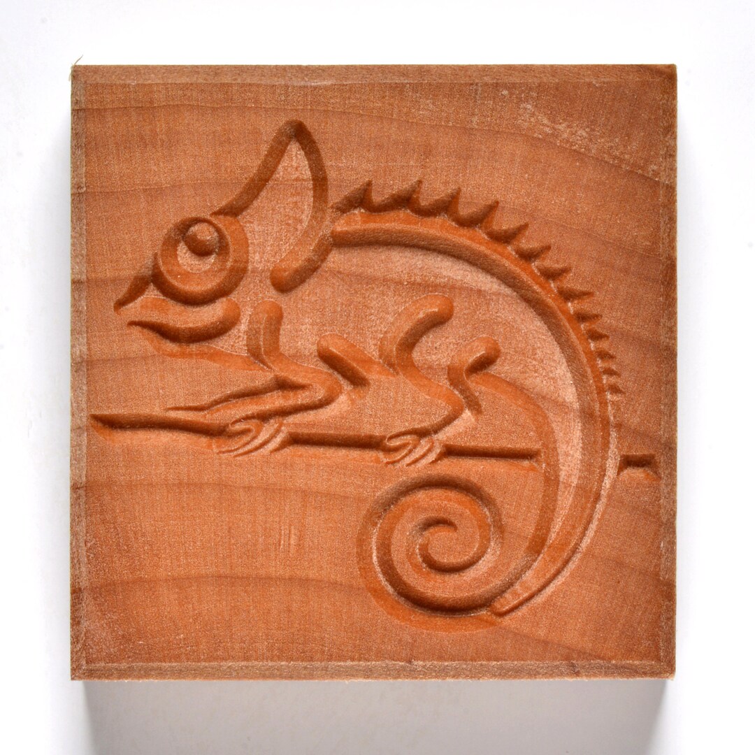 Ssl-096 Large Square Stamp - Chameleon - Etsy