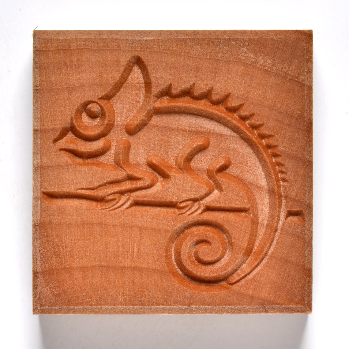 Ssl-096 Large Square Stamp Chameleon | Etsy