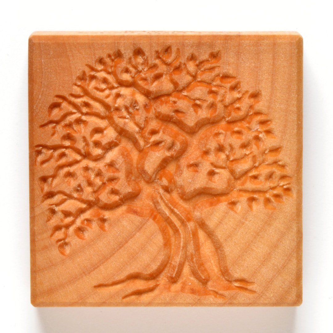 Ssl-050 Large Square Stamp - Old Tree - Etsy