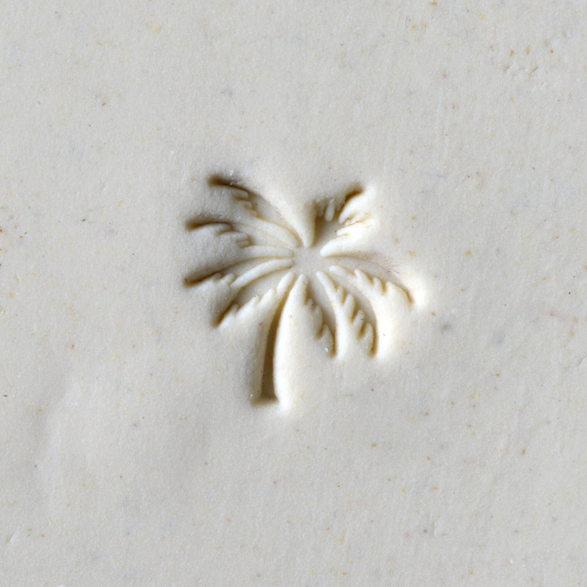 Scs-174 Small Round Wood Pottery Stamp - Palm Tree - Etsy