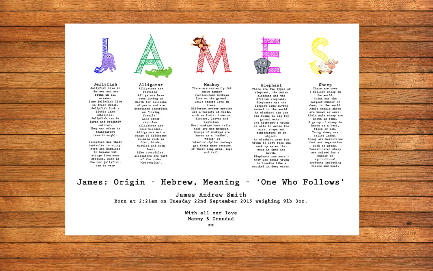 Personalised Name Print Illustrated Name Origin and Meaning | Etsy