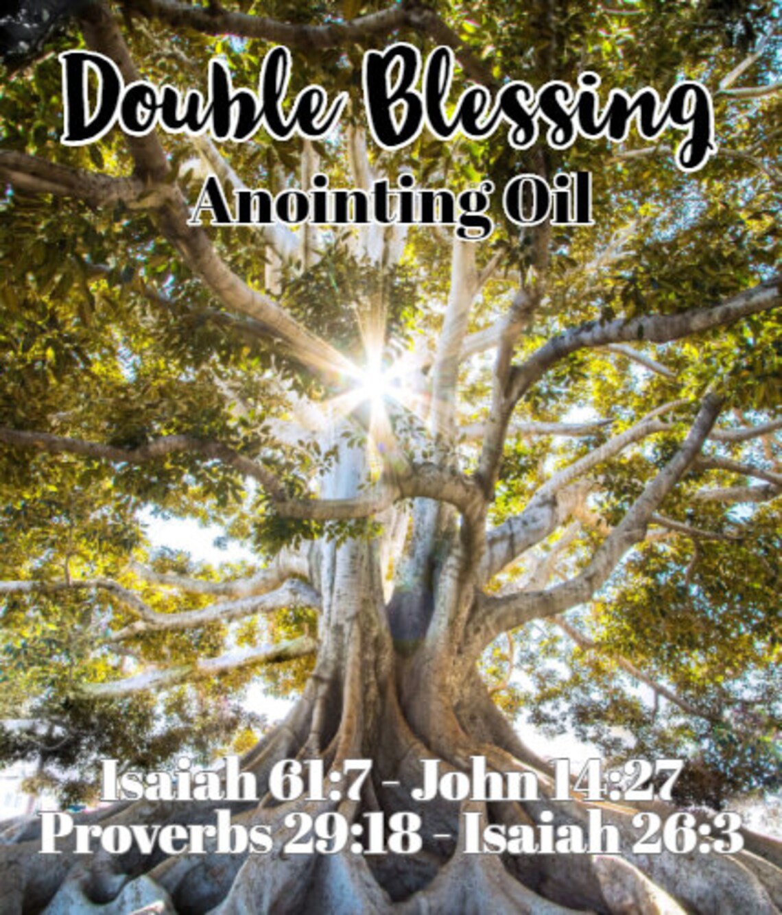 DOUBLE BLESSING Anointing Oil New Life in the Spirit & Naturally Deep ...