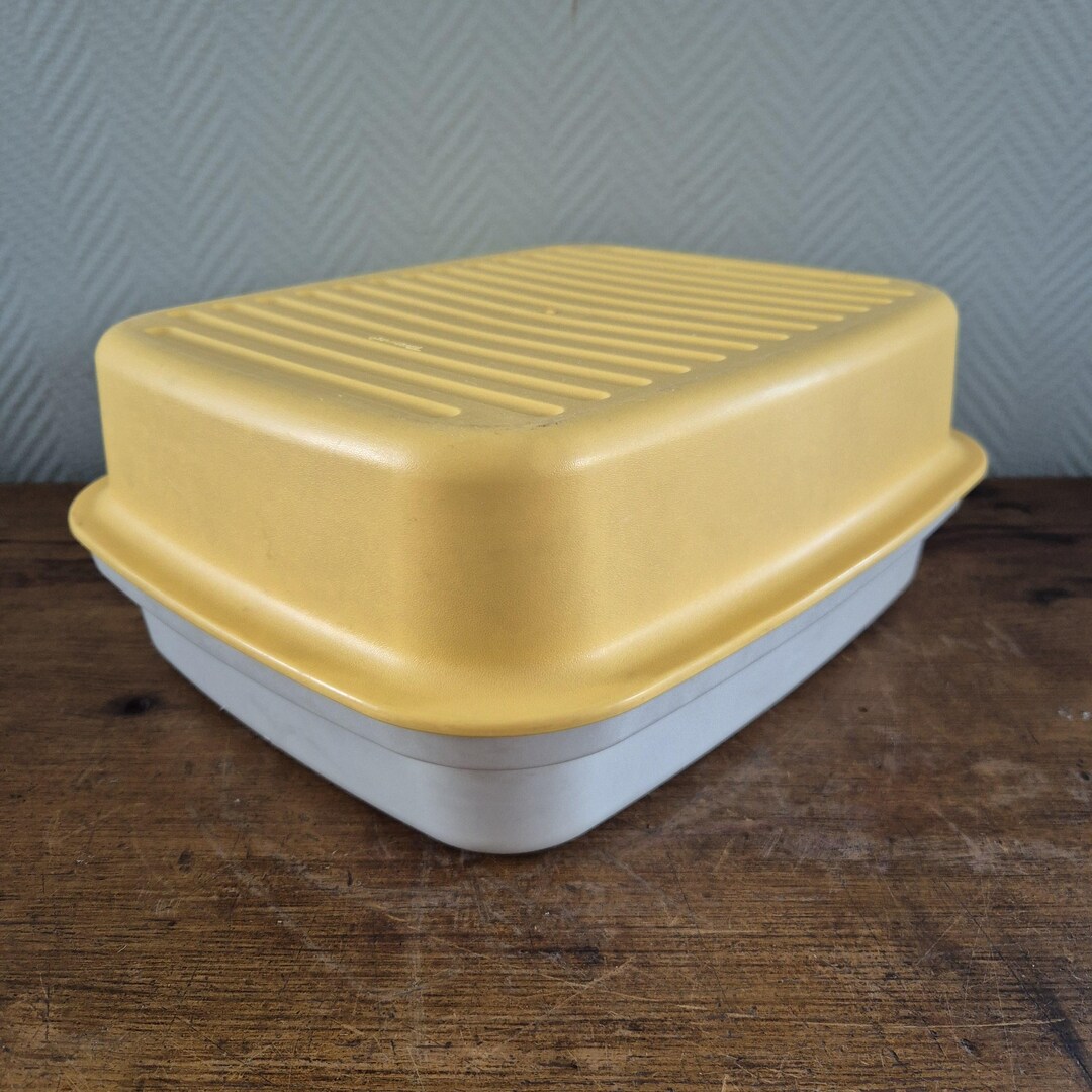 TUPPERWARE Marinator Meat Cheese Keeper Box Food Storage Bin Cheese Box ...