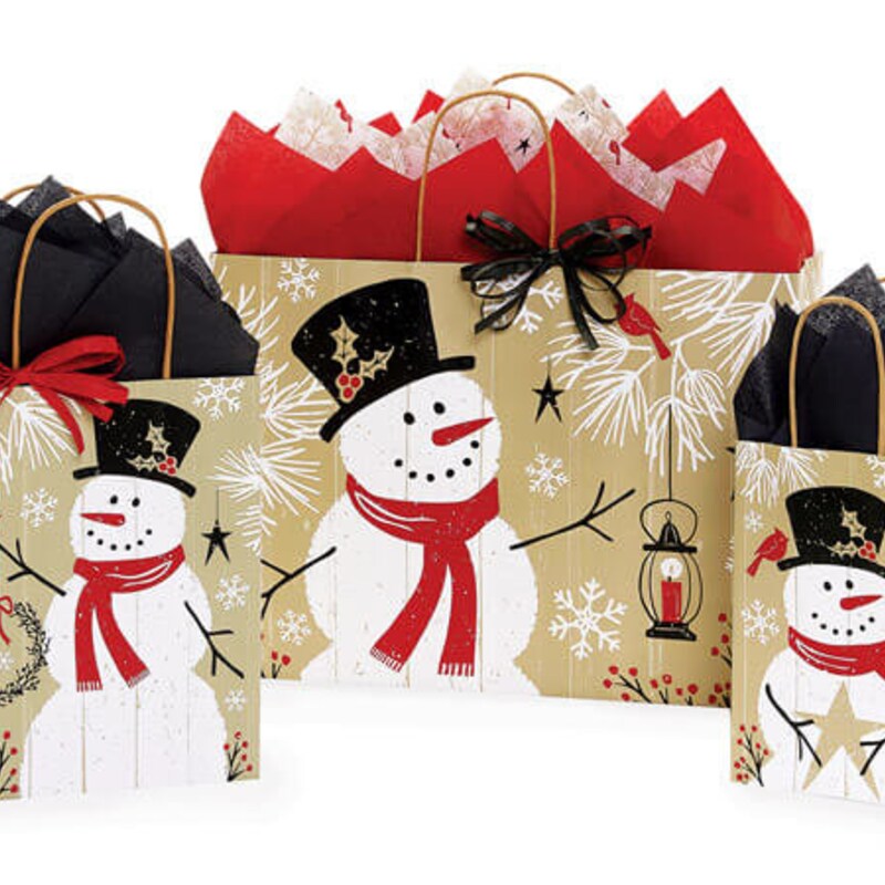 Snowman Gift Bags - 60+ Gift Ideas for 2025