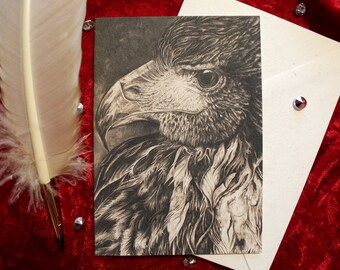 Hawk Birthday Card - Etsy