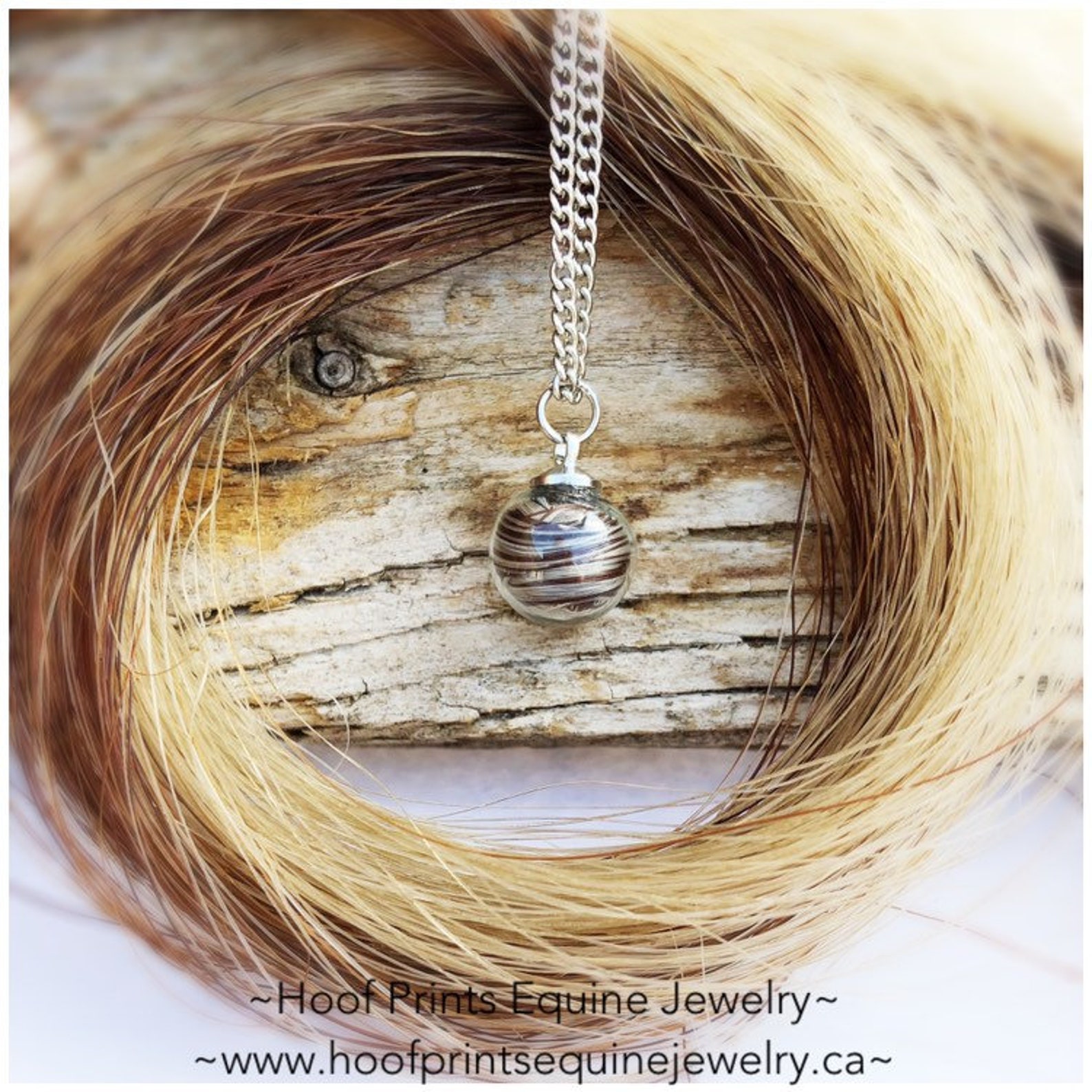 Horsehair and Pet Hair Glass Orb Pet Fur Keepsake Necklace - Etsy Canada