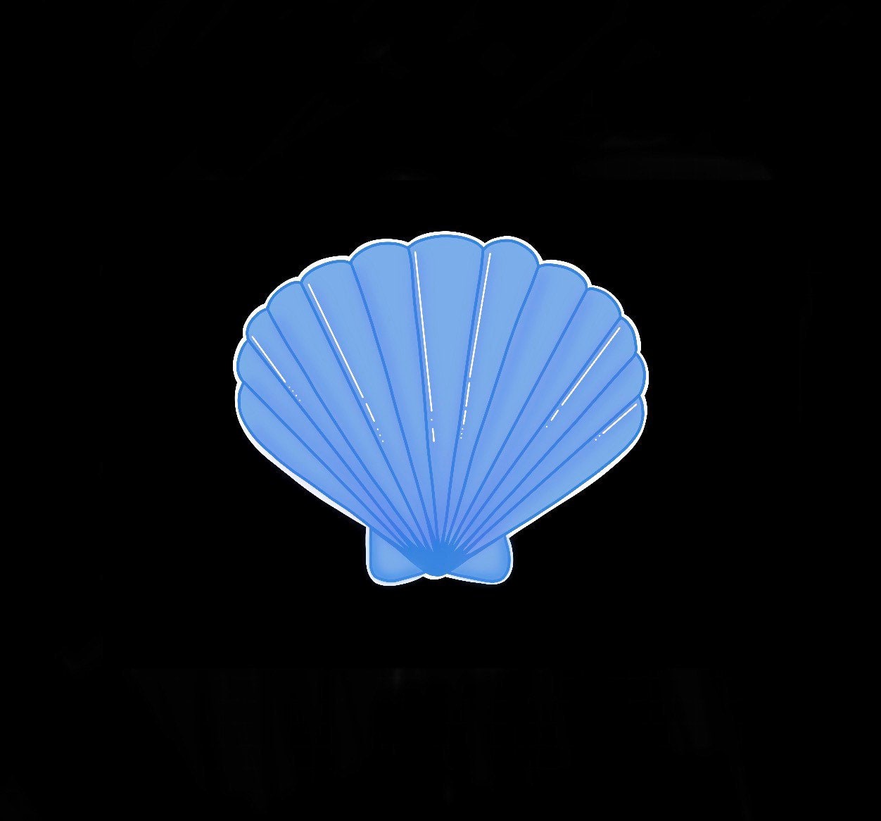 Scalloped Sea Shell Vinyl Sticker - Etsy