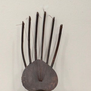 African Branch Guitar Kenya Gourd Cowrie Shell - Etsy