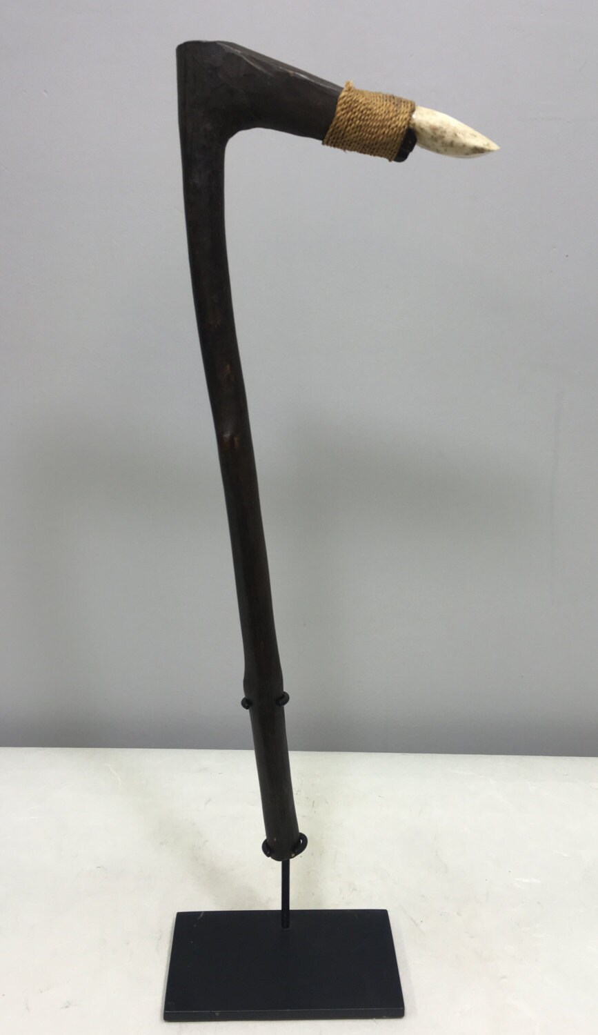 Papua new Guinea Adze Clam Shell Blade Matty Islands Wood | Etsy