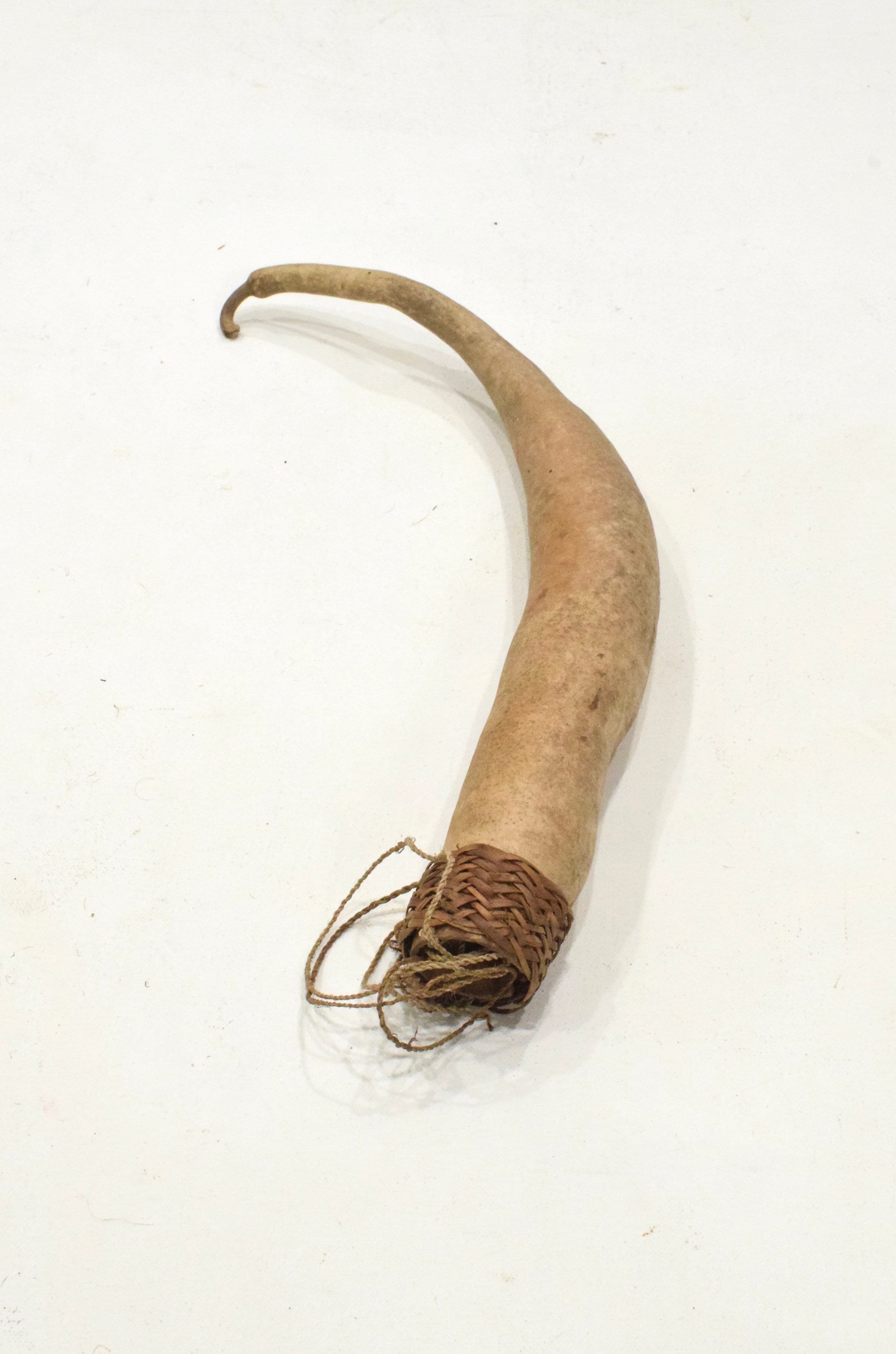Papua New Guinea Penis Gourd Sheath