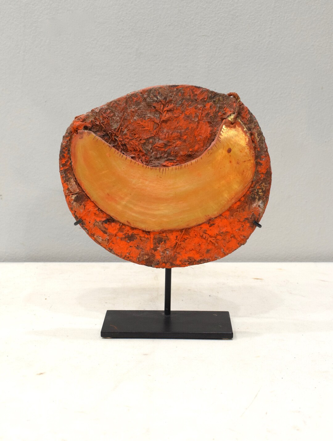 Papua New Guinea Necklace Kina Shell Melpa Tribe Currency Kina Shell - Etsy