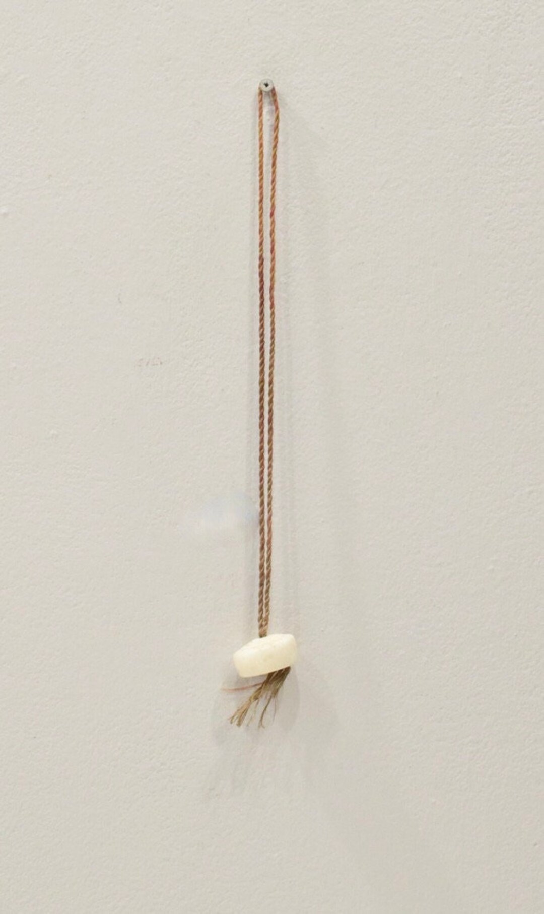 Papua New Guinea Cone Shell Necklace Iatmul Tribe - Etsy