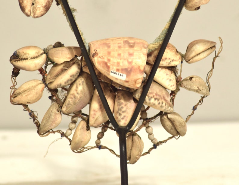 Papua New Guinea Necklace Kula Shell Currency Beaded Brides Price ...