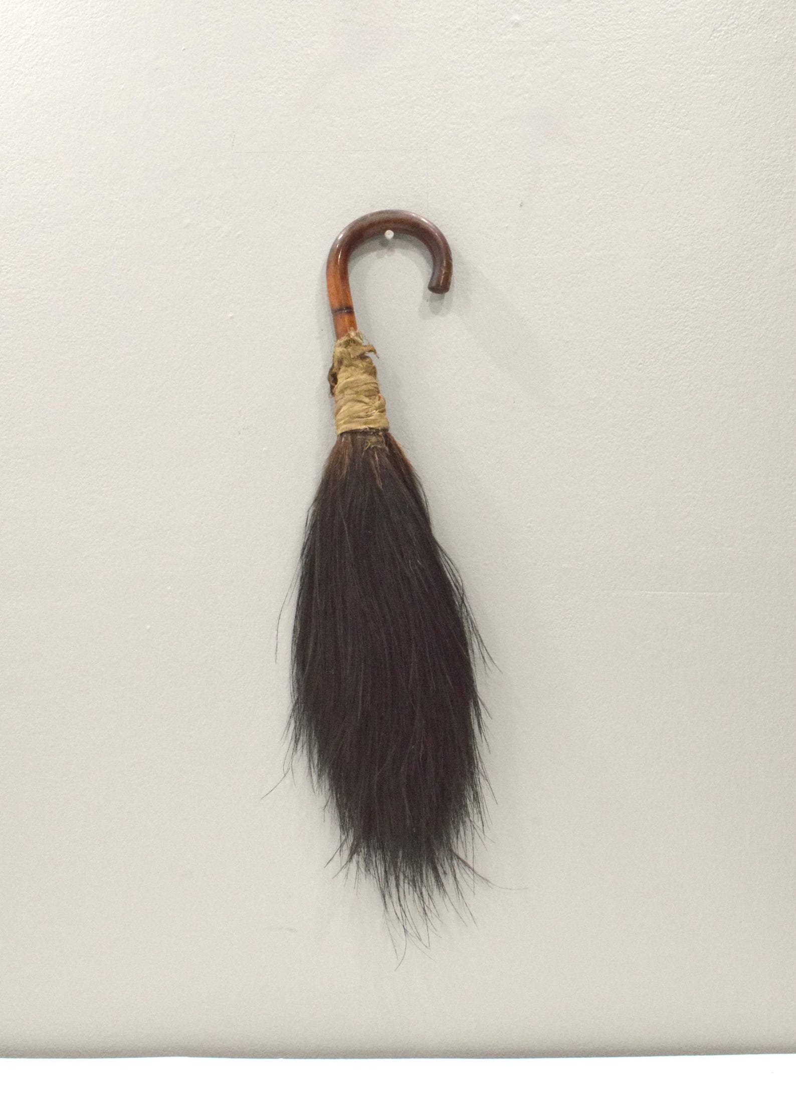 Papua New Guinea Fly Whisk Cassowary Feathers - Etsy