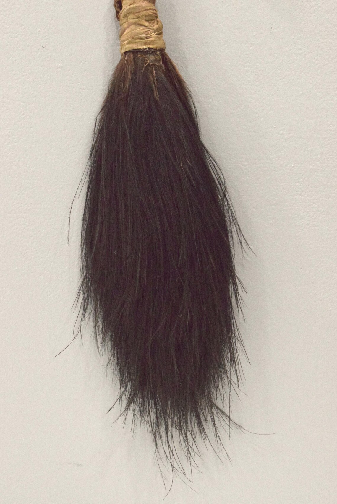 Papua New Guinea Fly Whisk Cassowary Feathers - Etsy