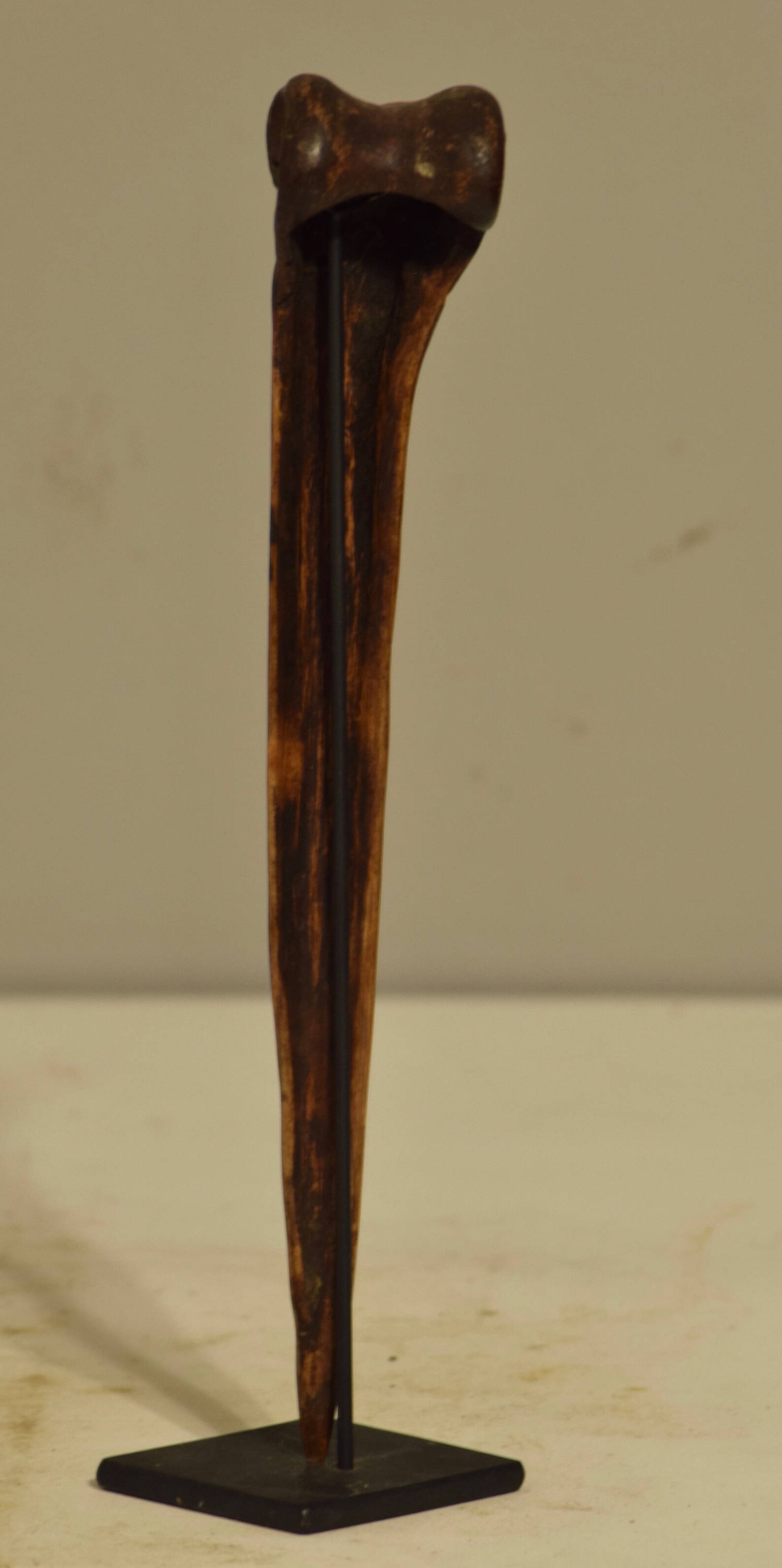 Papua New Guinea Dagger Rat Tooth Carved Ritual Dagger - Etsy