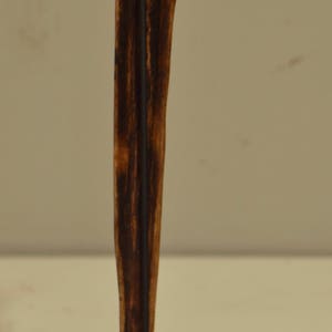 Papua New Guinea Dagger Rat Tooth Carved Ritual Dagger - Etsy