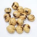 Beads Philippine Tiger and Batik Lumbang Seeds 27-28mm - Etsy
