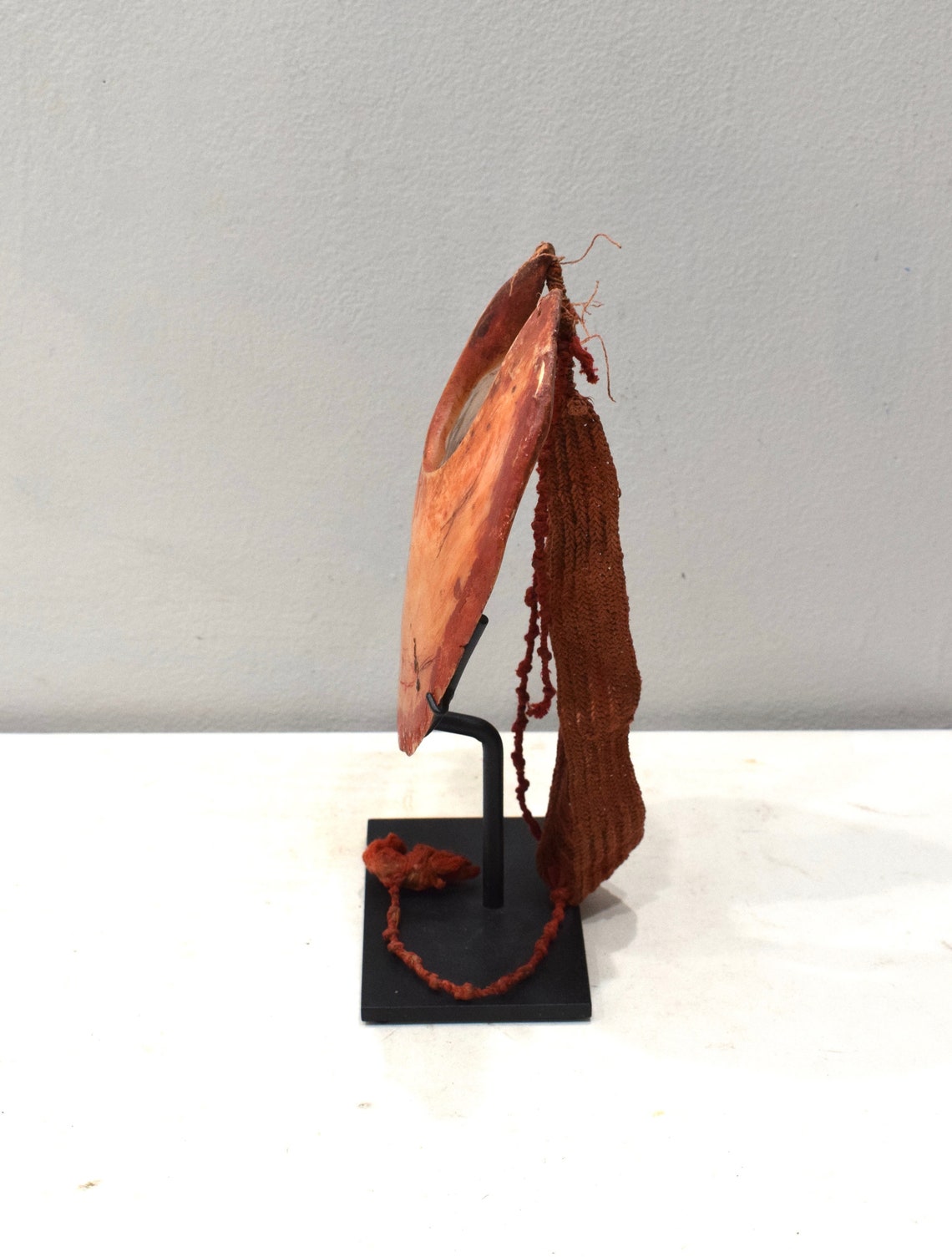 Papua New Guinea Necklace Kina Shell Melpa Tribe Currency Kina Shell - Etsy