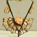 Papua New Guinea Necklace Kula Shell Currency Beaded Brides Price ...