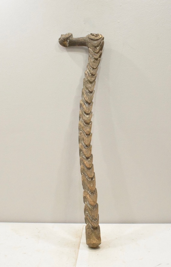 Papua New Guinea 2 Headed Walking Stick Blackwater Lakes - Etsy