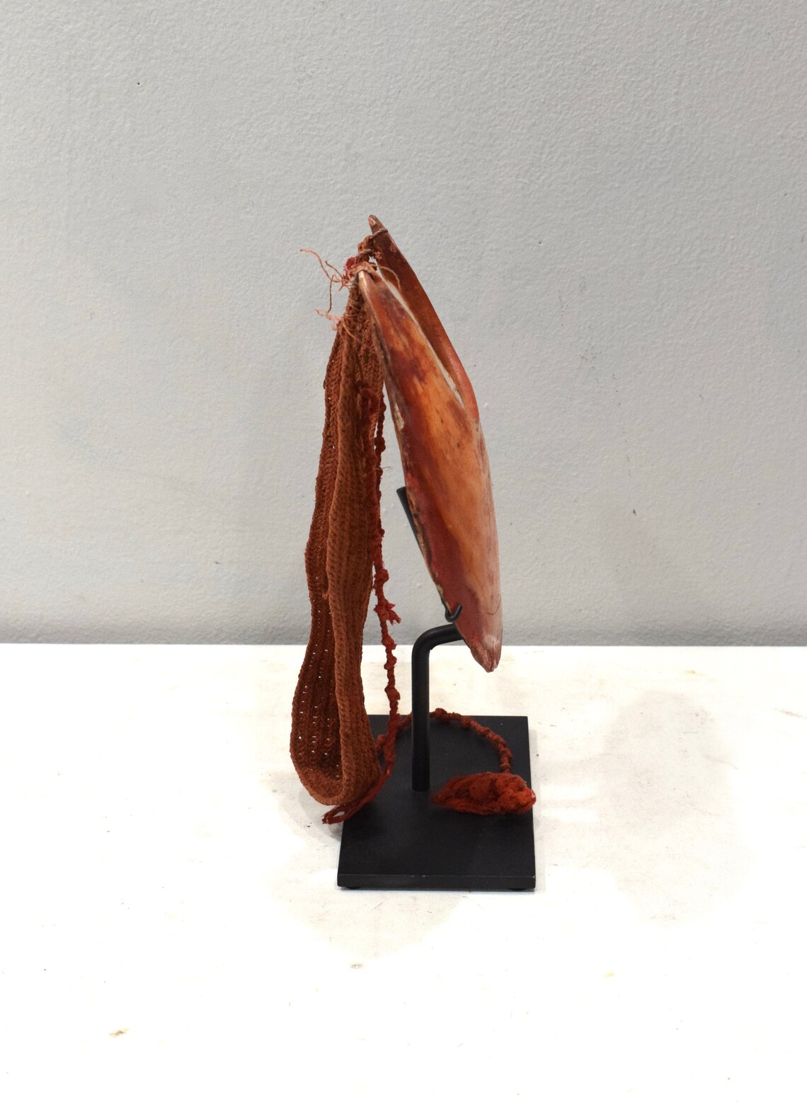 Papua New Guinea Necklace Kina Shell Melpa Tribe Currency Kina Shell - Etsy