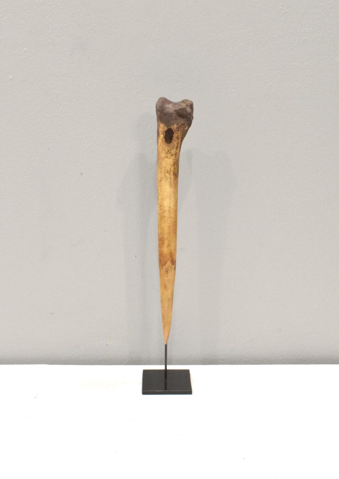 Papua New Guinea Abelam Bone Cassowary Dagger - Etsy