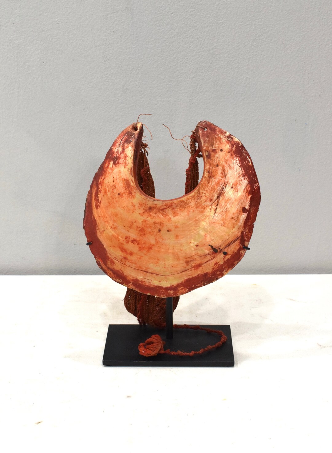 Papua New Guinea Necklace Kina Shell Melpa Tribe Currency Kina Shell - Etsy