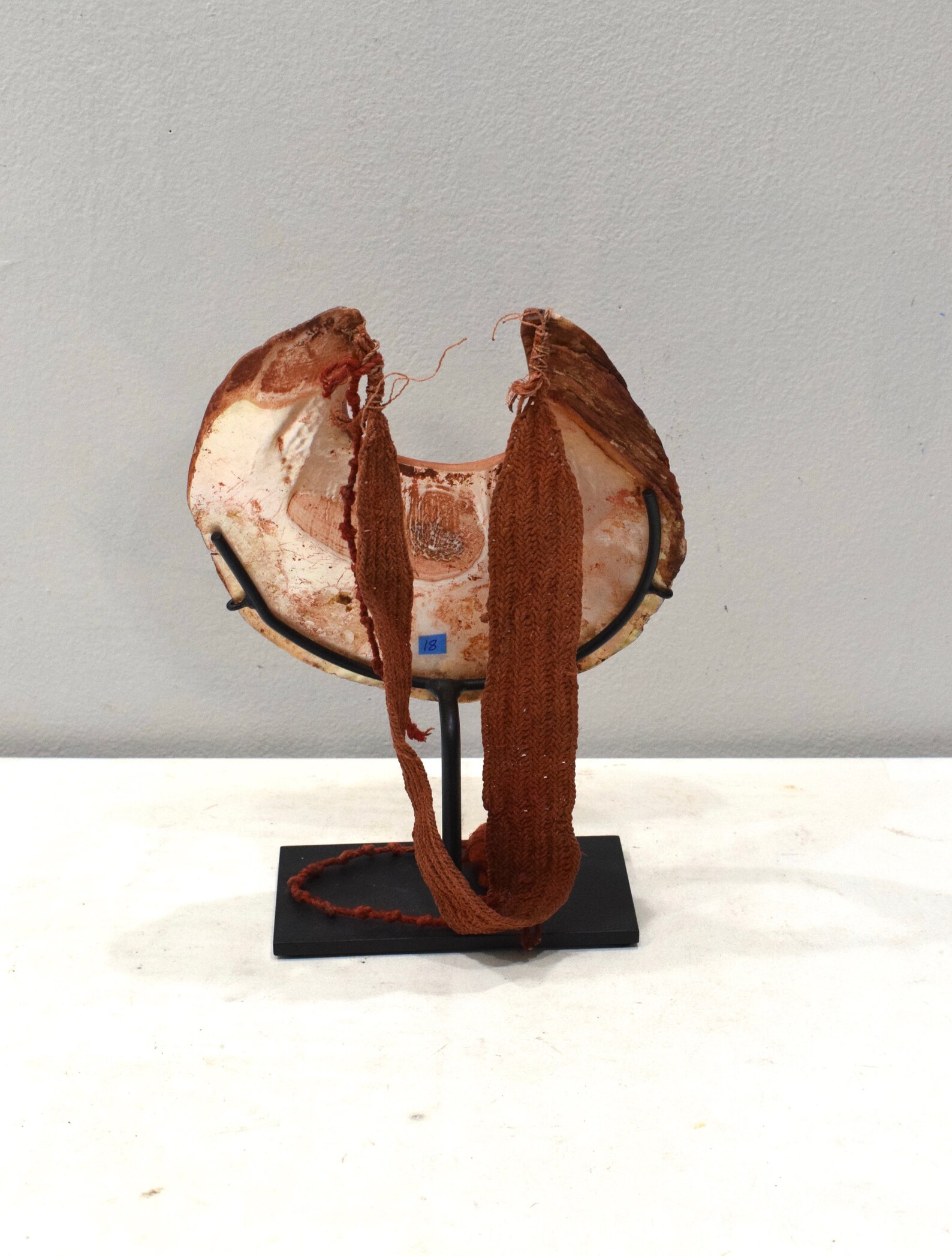 Papua New Guinea Necklace Kina Shell Melpa Tribe Currency Kina | Etsy