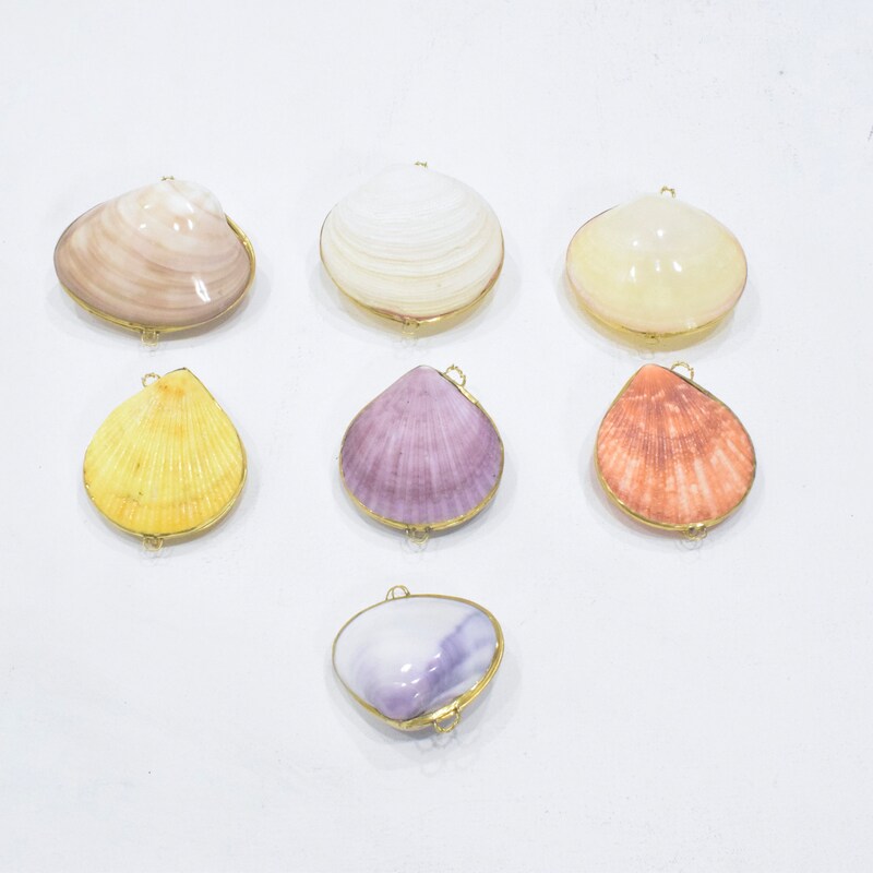 Shell Pill Box - Etsy