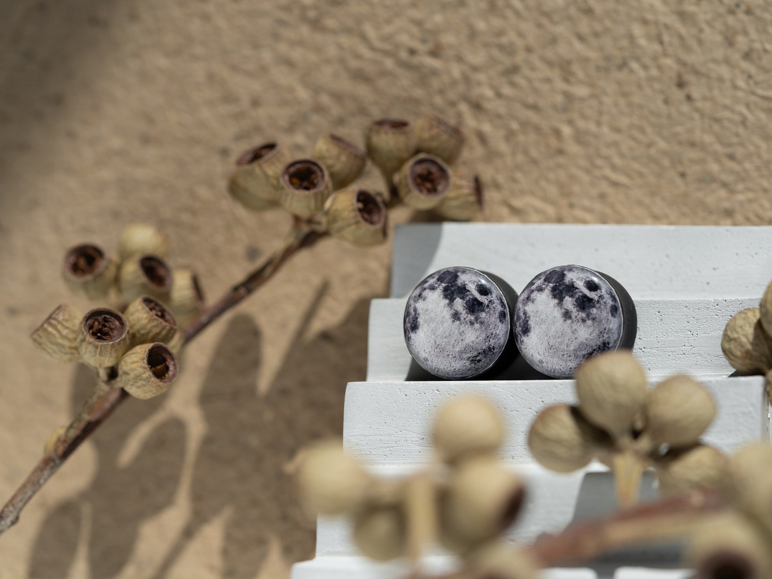 Pair Plugs Full Moon Image Ear Wooden or Clay Tunnels - Etsy