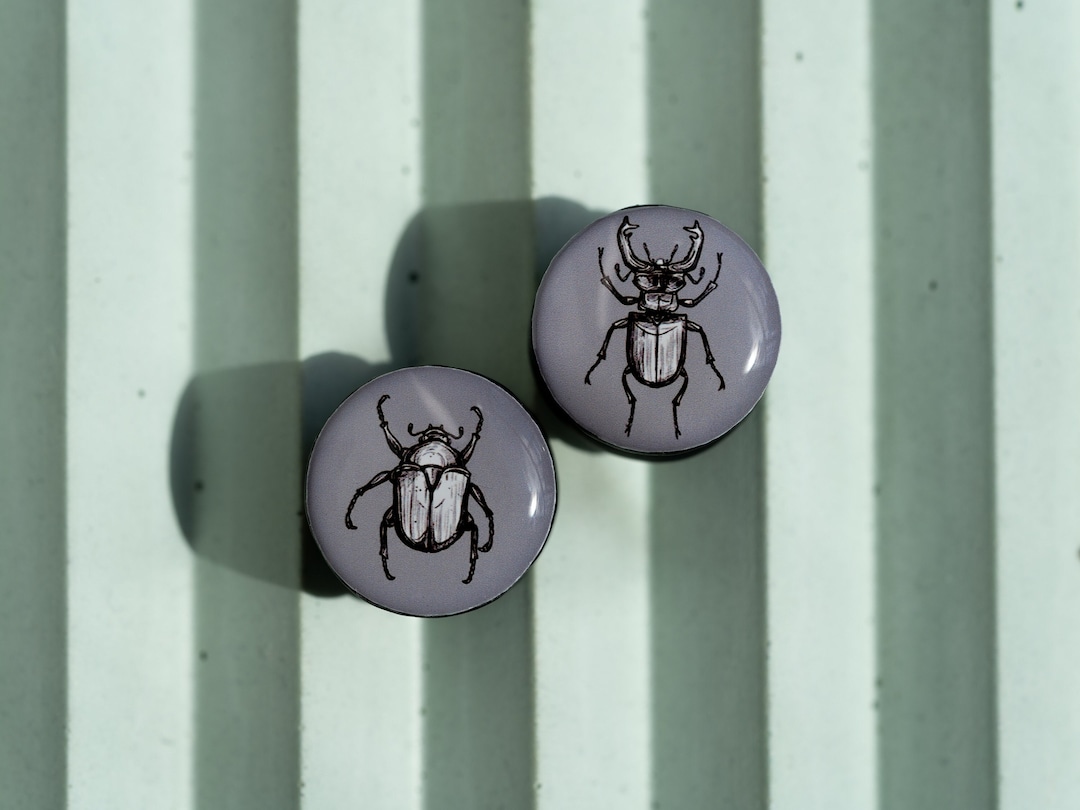 Pair Bugs Insect Plugs Image Wooden Gray Ear Clay Tunnels 4,5,6,8,10,12 ...